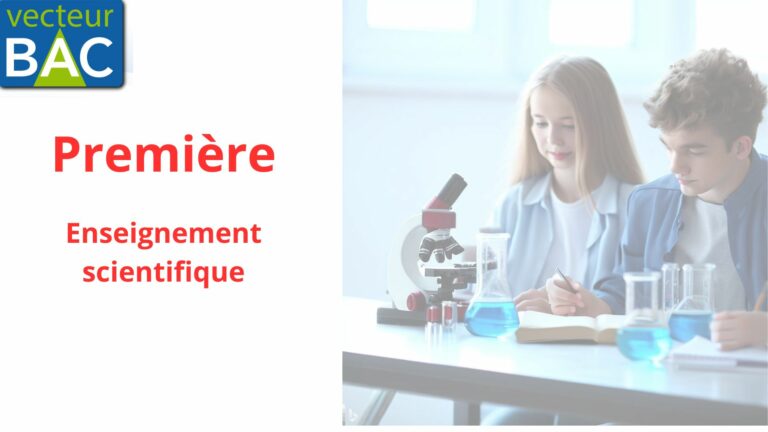 Premieres – Vecteur Bac