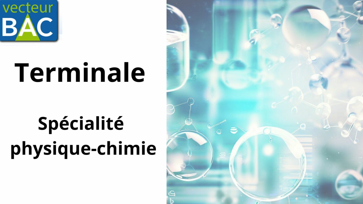 Terminales – Vecteur Bac