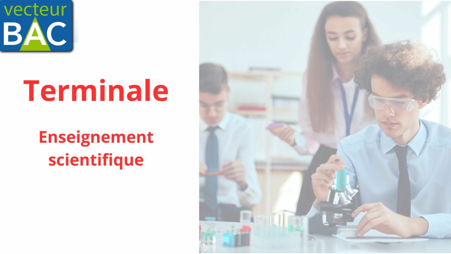 Vecteur bac – Vecteur Bac