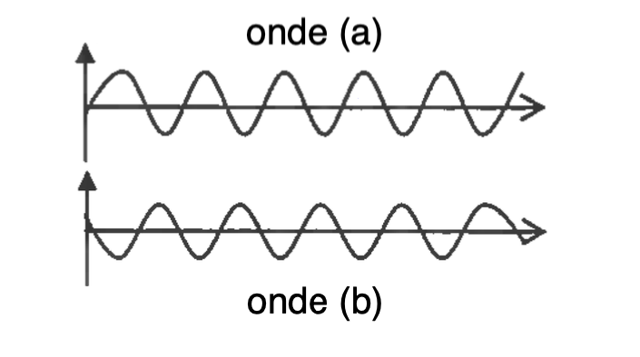 Exercice : Ondes et particules – Vecteur Bac