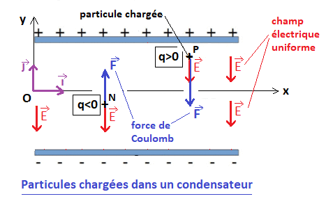 La force électrique – Vecteur Bac