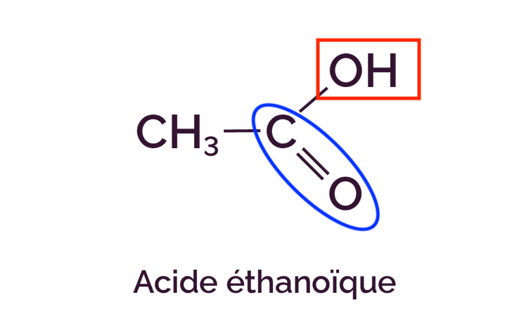 Exercice : Aspirine et prévention cardiovasculaire – Vecteur Bac