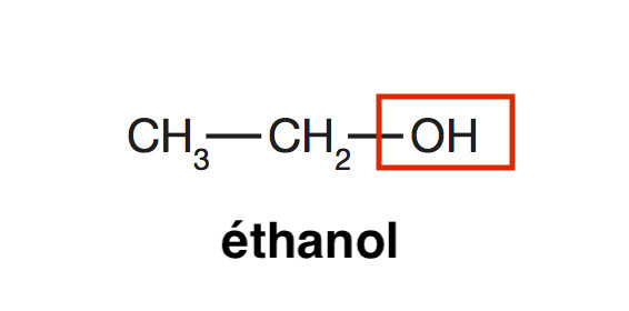 Exercice : Les dangers de l'alcool – Vecteur Bac