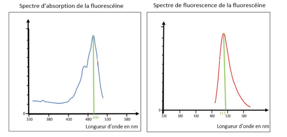La fluorescence au service du diagnostic médical – Vecteur Bac