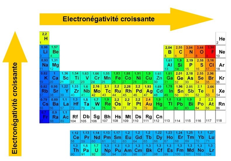 Électronégativité – Vecteur Bac