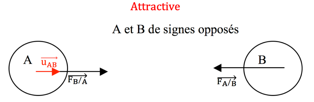 Interaction électrostatique – Vecteur Bac
